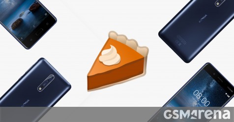 Nokia 8 gets Android Pie beta, complete with the new gesture navigation ...