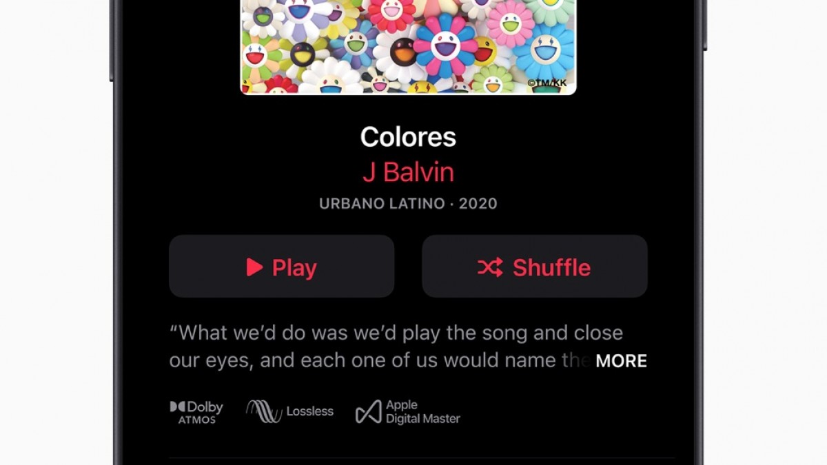 Lossless Lossless