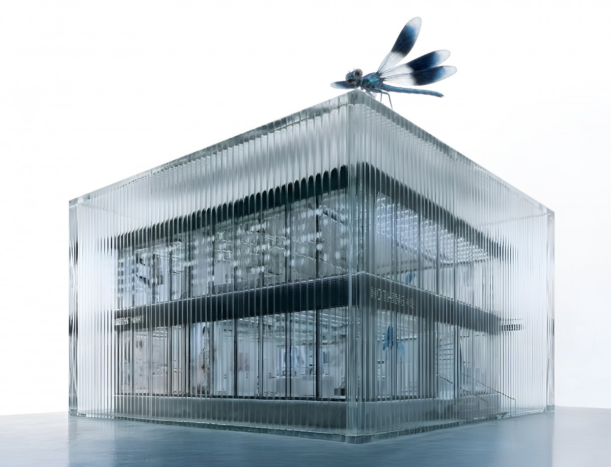 Nothing's flagship India store will open on February 14 - GSMArena.com news