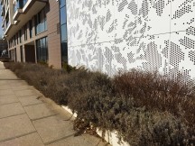 Xiaomi Redmi 9T review: Camera