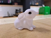 Samsung Galaxy A53 5G review: Camera, photo and video quality