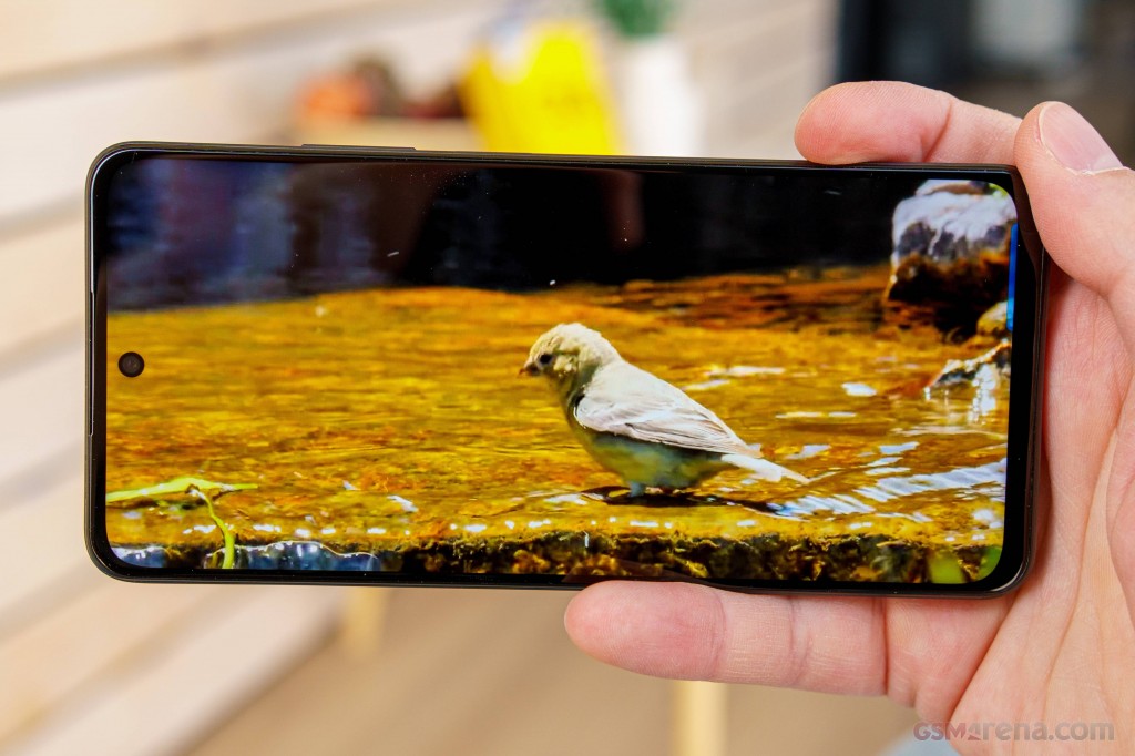 Realme C55 pictures, official photos